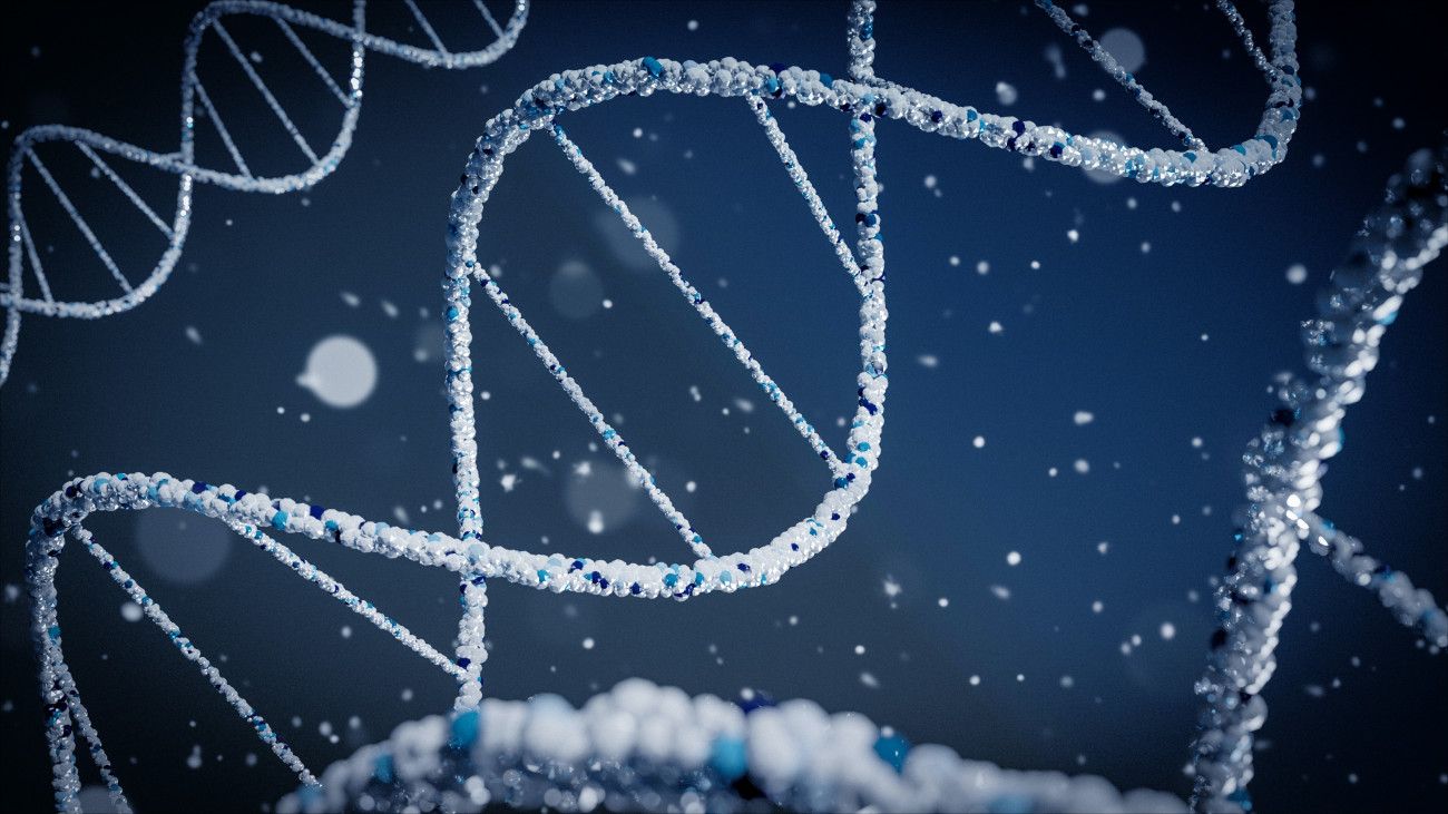 What happens in a Genetics laboratory? (Part I) | Share4Rare